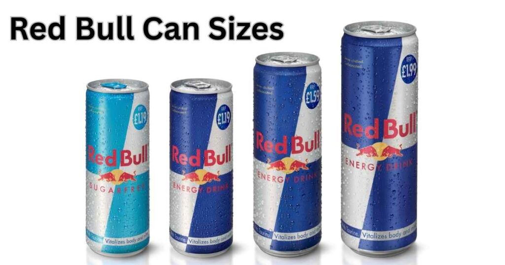 Water Bottle Dimensions: A Complete Guide With Facts