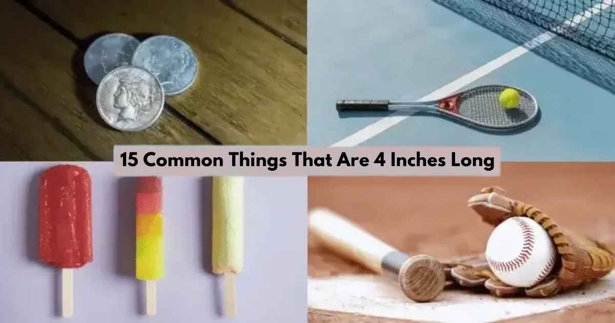 How Big Is 4 Inches? 15 Things You Already Own